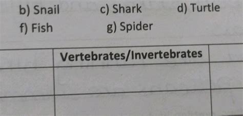 B Snail C Shark D Turtle F Fish G Spider StudyX