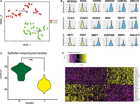 Single‐cell Rna‐seq Identified Subpopulations From Mrcc A Cell