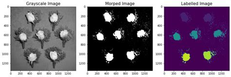 Image Processing Blob Detection Towards Data Science