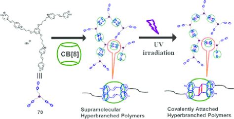 Illustration Of The Transformation From Supramolecular Hyperbranched