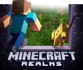 Realms Minecraft Wiki