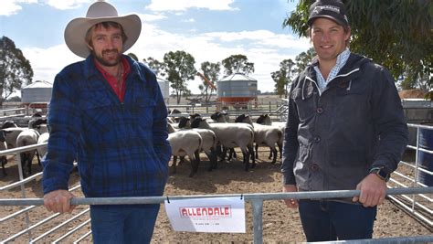 90 Years Ewe Sale Results 2022