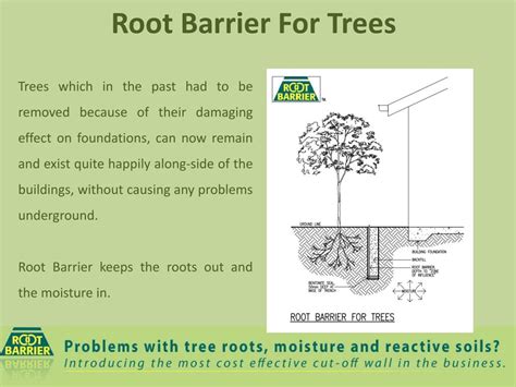 PPT Tree Max Root Barrier Cost Effective Prevent Root And Moisture Stabilisation Solution