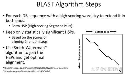 基因序列比对算法的发展与原理 知乎