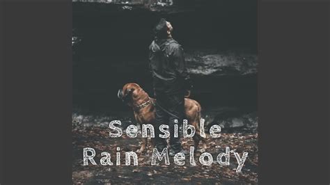 Beautiful Assessment Youtube