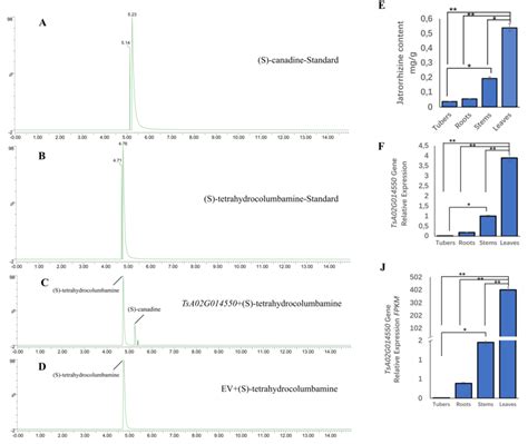 In Vitro Catalytic Activity Of A Canadine Synthase Encoded Tsa02g014550