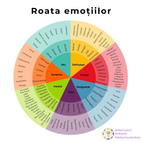Roata Emoțiilor Înțelegerea și Gestionarea Emoțiilor Cu Luisa Gavrilescu