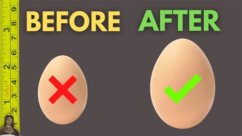 Top 10 Food That Make Your Balls Biggr And Boost Testosterone Ejaguard