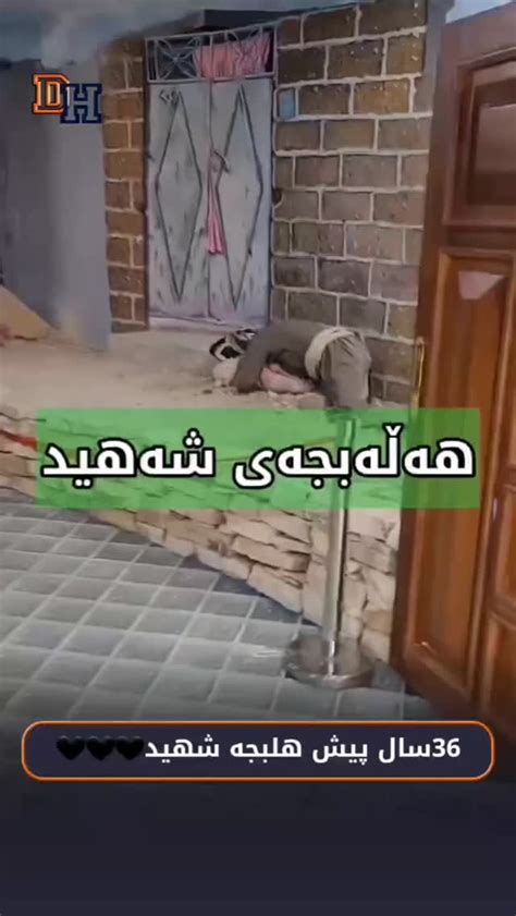 کولبر‌ کوردستان ‎ ‎هەڵەبجە، زامێ بە قووڵی زامەکاو تارێخی و ڕسواییە بە بەرزی باڵاو بەشەری