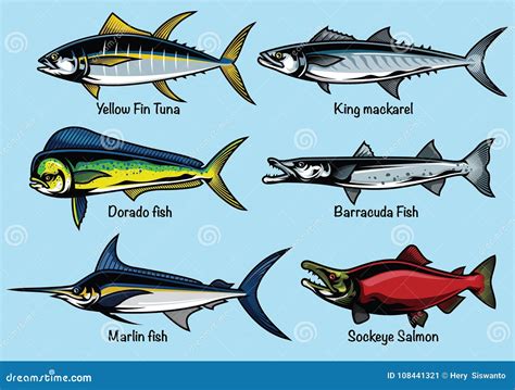 Set Of Colored Fish Illustration Stock Vector Illustration Of Human