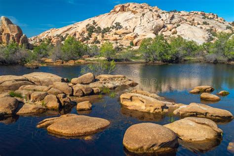 Water Reservoir Above The Barker Dam Joshua Tree National Park