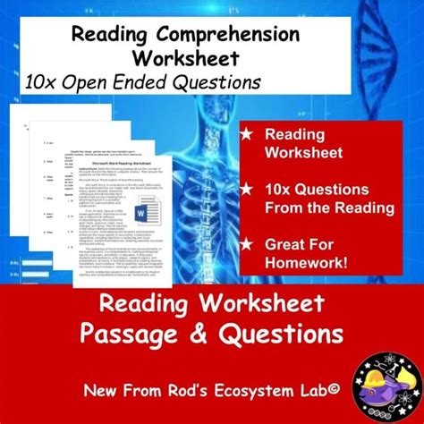 The Cranial Nerves In The Peripheral Nervous System Reading Worksheet