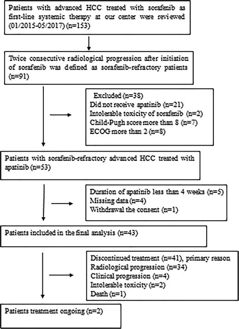 Flow Diagram Showing Patient Selection Ecog Indicates Eastern