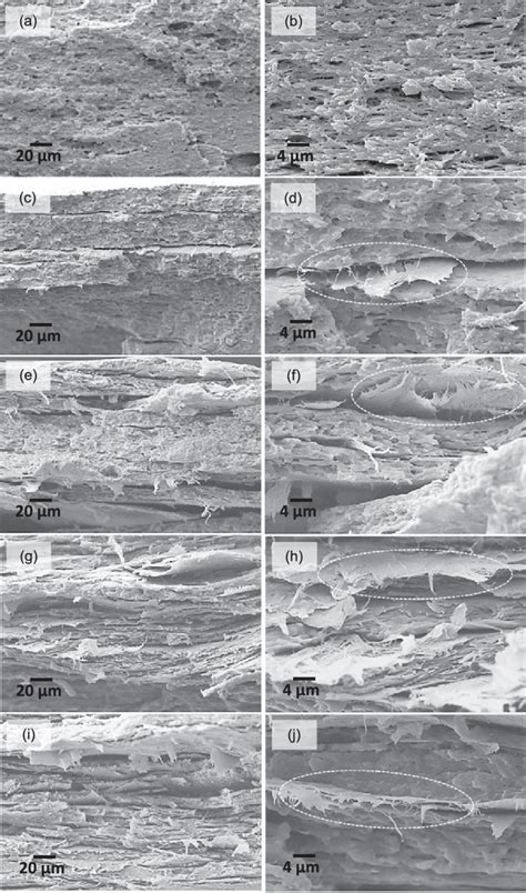 Scanning Electron Micrographs Of Fracture Surfaces Of Ab Neat Download Scientific Diagram