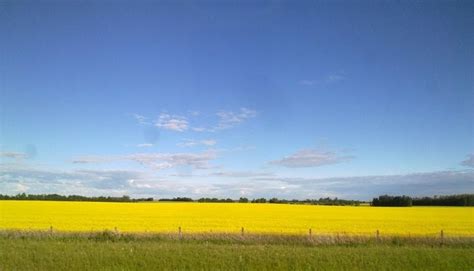 Bigblockchain In The Cloud Or Cloudchain Beware The Hype Of The