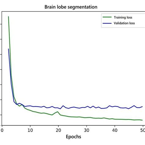 Training And Validation Curve For Lobe Segmentation Network Download
