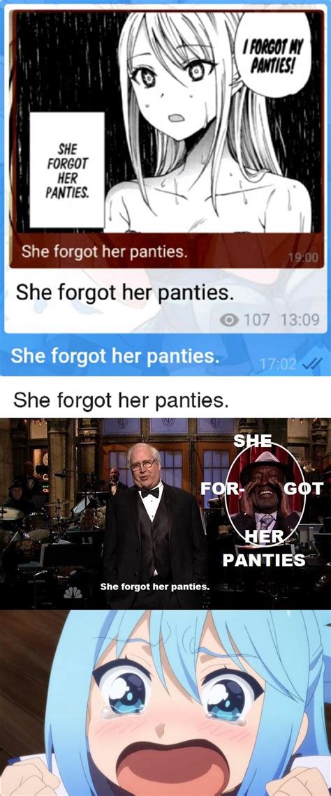 She Forgot Her Panties R Animemes