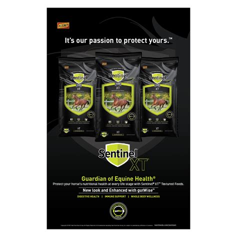 Kent Sentinel Xt Poster Kng Central
