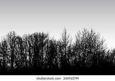 Trees Vector Background Stock Vector Royalty Free Shutterstock