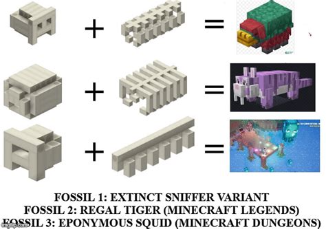 My Theories On The Origin Of Fossil Variants Drawing From Established