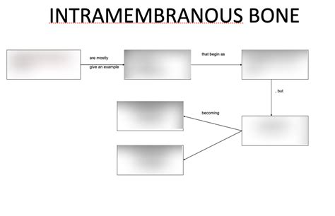 Unit 4 Intramembranous Bones Diagram Quizlet