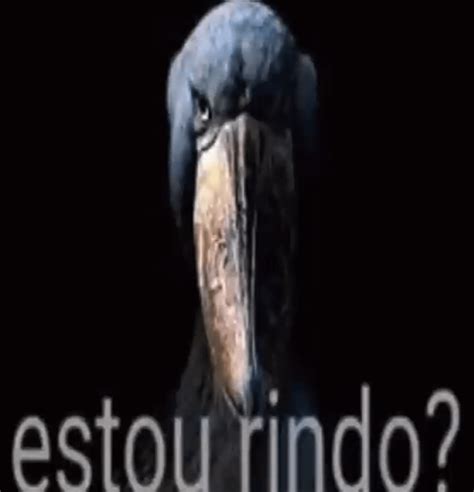 Conto Uma Piada Professor R Huestation