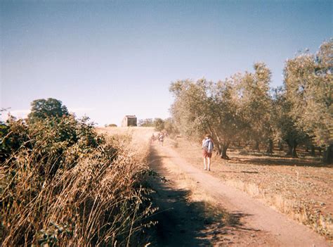 Beatrice Uva Architecture Portfolio By Beatrice Uva Issuu