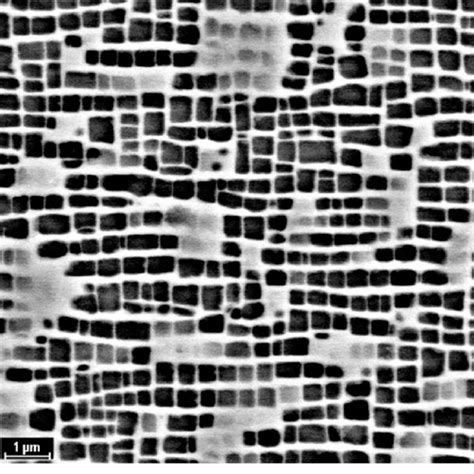 Microstructure Of René N4 Characterized By Rafting After Creep At High Download Scientific