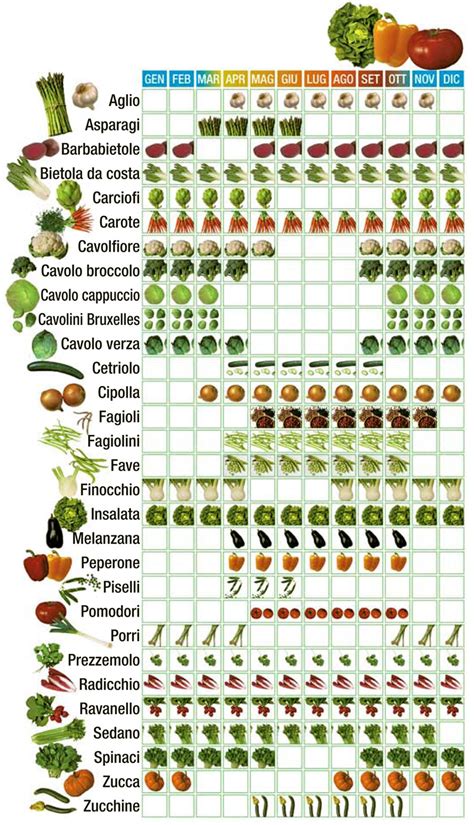 Frutta E Verdura Di Stagione