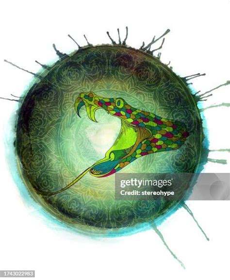 Python Drawing Photos And Premium High Res Pictures Getty Images