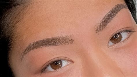 wat is pmu wenkbrauwen microbrows