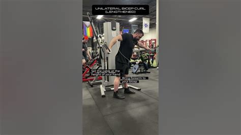 Unilateral Bicep Curl Lengthened Youtube