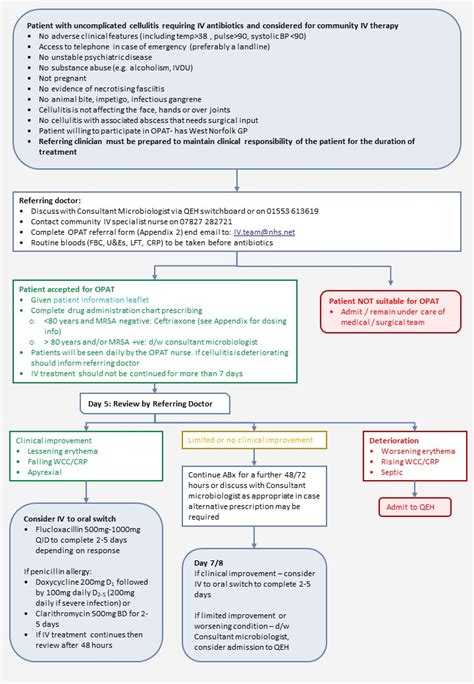 Beroemdheid Cellulitis 2024 Video Caf Champions League 2024