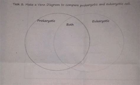 Task 2 Make A Venn Diagram To Compare StudyX