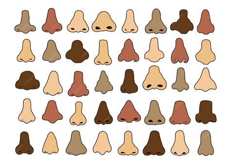 Premium Vector Vector Illustrations Set Of Hand Drawn Human Noses In