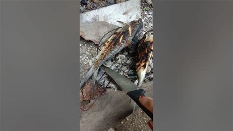 Sinugbang Bangus Youtube