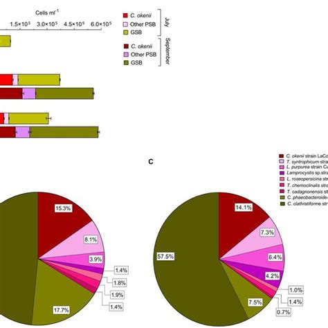 A Flow Cytometry Counts Revealed Different Abundances Of Anoxygenic