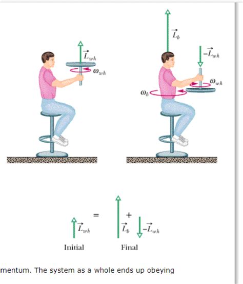 Spinning Bike Wheel Example How Is Angular Momentum Conserved • Physics Forums