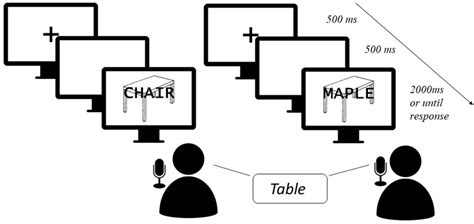 Figure E Simplified Structure Of Lexical Access During The Production Download Scientific
