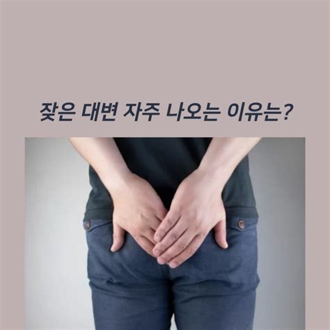 잦은 대변 자주 나오는 이유는 네이버 블로그