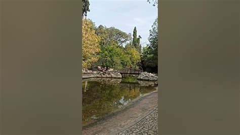 Atinska Narodna Bašta Youtube