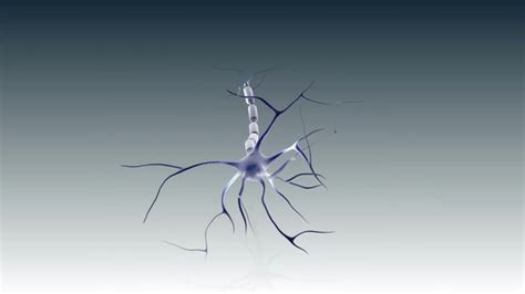 「sturcture」の写真素材 385件の無料イラスト画像 Adobe Stock