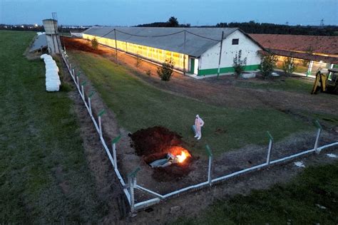 Fda Classifies Recall Of Medtronic Embolization Devices As Most Serious Reuters