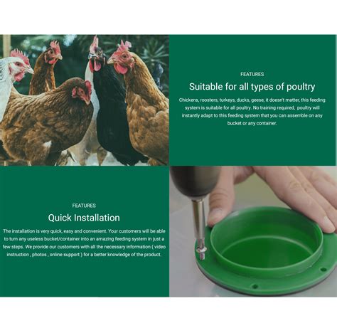Farm Home Use Automatic Chicken Feeder Buy Automatic Feeders For Poultry Chickens Pellets