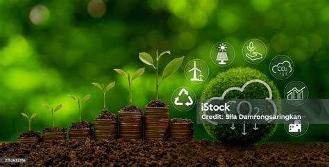 이산화탄소 배출 지구 온난화 지속 가능한 개발 문제를 묘사하는 Co2 개념 투자에 대한 스톡 사진 및 기타 이미지 투자 석탄 숲 Istock