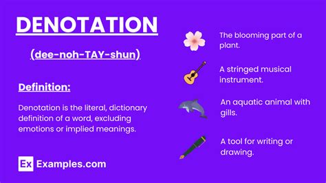 Denotation 100 Examples How To Use Pdf