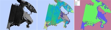 Sentinel 1 Sar Imagery 25 04 2020 After Preprocessing Left Download Scientific Diagram