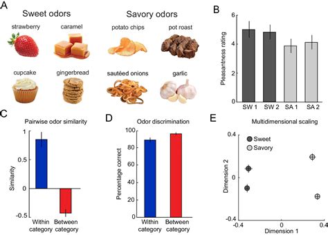 figures and data in sensory prediction errors in the human midbrain