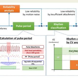 An Example Of Pulse Wave Monitoring PWM Analysis PP Intervals And Download Scientific