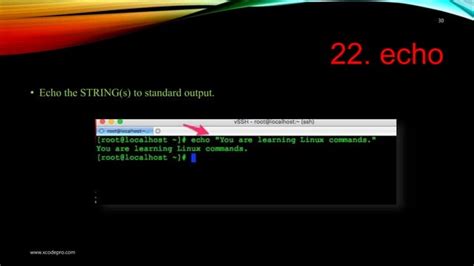 Linux Survival Guide For Data Scientists Pptx Operating Systems